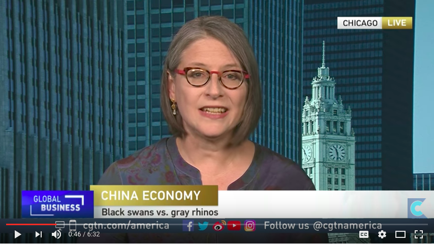 China's Gray Rhinos on CGTN | Gray Rhino & Company